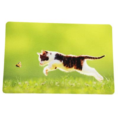 China PASSIONATE BFM-015 Schlupffreier Bodenmatte weiche Absorptionsmatte zu verkaufen