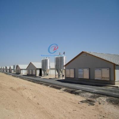 Cina Struttura in acciaio galvanizzato Poultry House personalizzato con pannelli isolanti in vendita