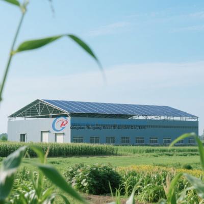 중국 현대 / 현대적인 미학과 함께 사전 엔지니어링 철강 구조 창고 판매용