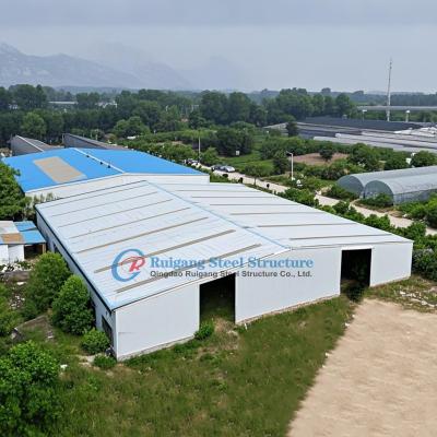 China Steel Structure Godown for Africa Industrial Store Building Steel Structure for sale