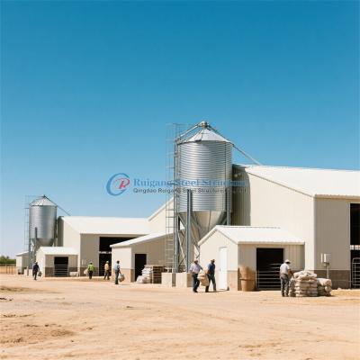 Cina Struttura in acciaio prefabbricata Poultry House Customized Steel Frame Chicken Coop in vendita