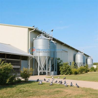 Cina Struttura in acciaio su misura Resistenza al fuoco per allevamenti di pollame in vendita