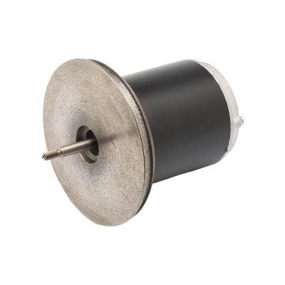 Cina Motore a magnete permanente di CC di 83ZYT 110-220V 300w micro per la macchina della pallina da tennis in vendita