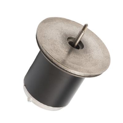 Cina Motore a magnete permanente di CC di 83ZYT 110-220V 300w micro per la macchina della pallina da tennis in vendita