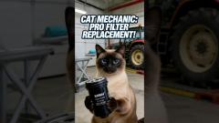 Don't let your cat see these videos #automobile #manufacturing #diy #marinediesel #machine #cnc#cat