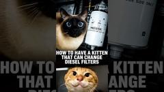 YOUR EXCAVATOR STOPPED? CALL THE CAT MECHANIC #automobile #marinediesel #diy #manufacturing #machine