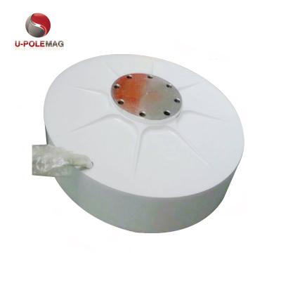 Cina Magnete di terre rare per generatore di vento del rotore interno AFPMG520-1.0KW/90RPM in vendita