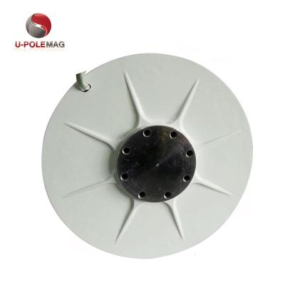 Cina Magnete di terre rare per generatore di vento del rotore interno AFPMG520-1.0KW/90RPM in vendita