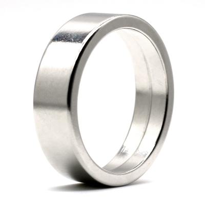 Cina Magnete ad anello di neodimio N52 nichelato per applicazioni versatili e di lunga durata in vendita