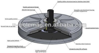 Cina Acciaio o acciaio inossidabile motore cinese per turbine eoliche di piccole dimensioni per imballaggio interno ed esterno in vendita
