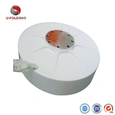 Cina ISO14001 2004 Generatore di energia senza rotore interno certificato 1.0KW/130RPM per Home White in vendita