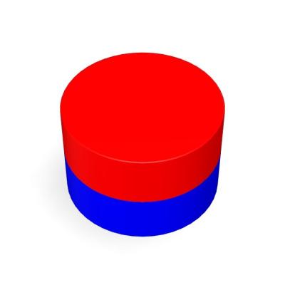 Cina Sensore motore Magnete di neodimio permanente N35 N52 per il rilevamento di campi magnetici forti in vendita