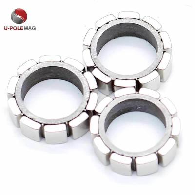 Cina Rotore a magnete permanente di neodimio a flusso assiale personalizzato per generatore in vendita