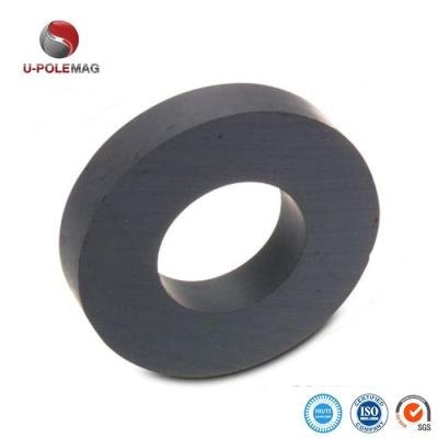 Cina Servizio di taglio fornito C8 Ferrite Magnet Composite Design per altoparlanti in vendita
