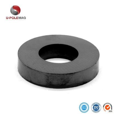 Cina Servizio di taglio fornito C8 Ferrite Magnet Composite Design per altoparlanti in vendita