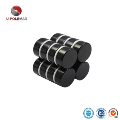 Cina Magnete di neodimio di grado industriale Magnete per cilindri antiruggine rivestiti di epossidi per l'industria in vendita