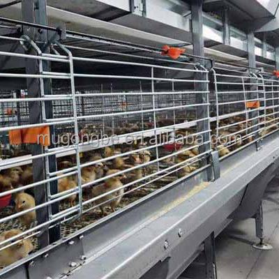 Quality H Type Automatic Broiler Chicken Cage with Hot Dip Galvanized Steel for sale