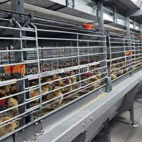 China H-Type Hot Dip Galvanized Broiler Chicken Cage with 19×15mm Mesh and Steel Wire Support System for sale