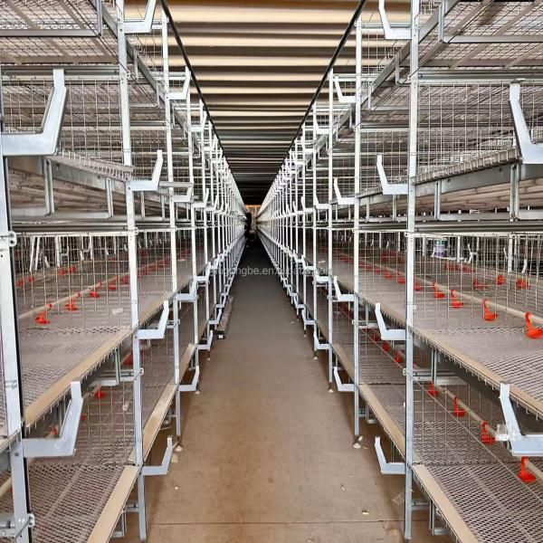 Quality Factory Direct Hot Dip Galvanized H Type Chicken Cage for Broilers for sale