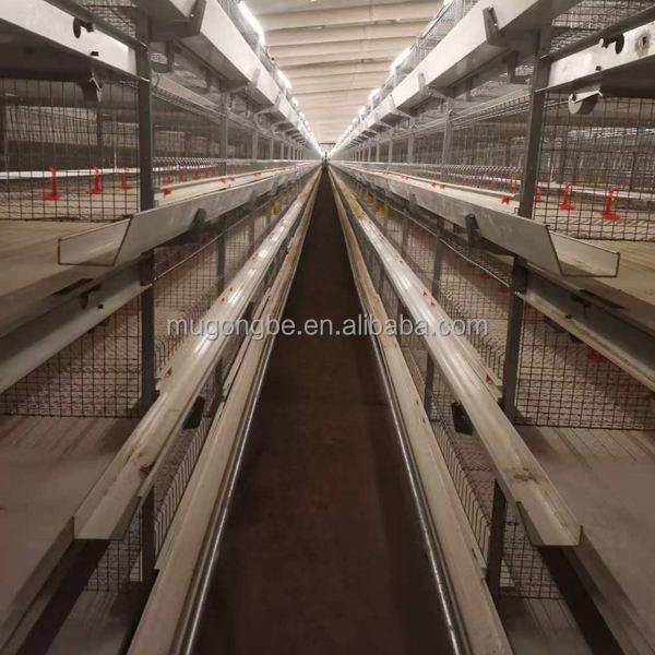 Quality High Quality H Type Automatic Battery Chicken Cage for Broiler Farming for sale