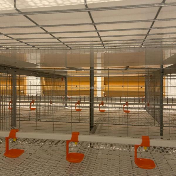 Quality H Type Automatic Broiler Chicken Cage with Efficient Feeding System for sale