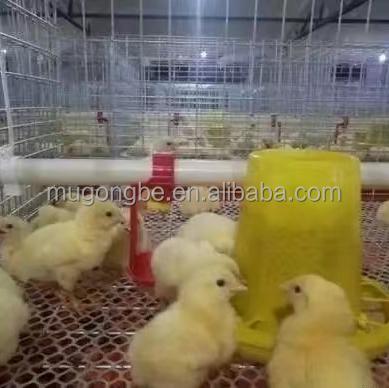 Quality High Quality H Type Broiler Chicken Cage for Poultry Farming for sale