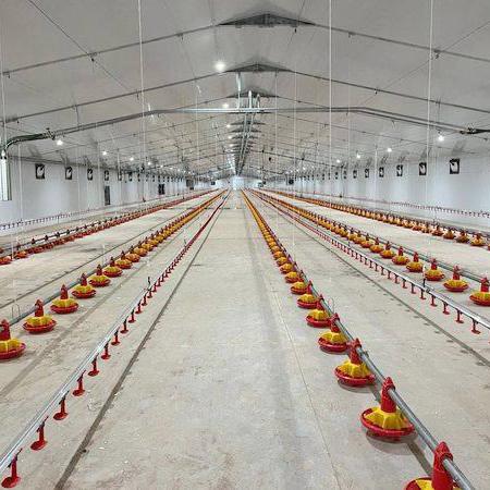 Quality Poultry Floor Chicken Farming System for Chickens for sale
