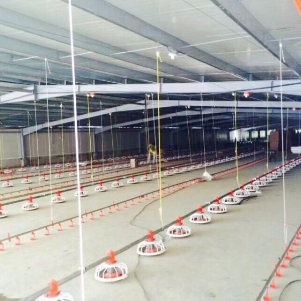 Quality Poultry Floor Chicken Farming System for Chickens for sale