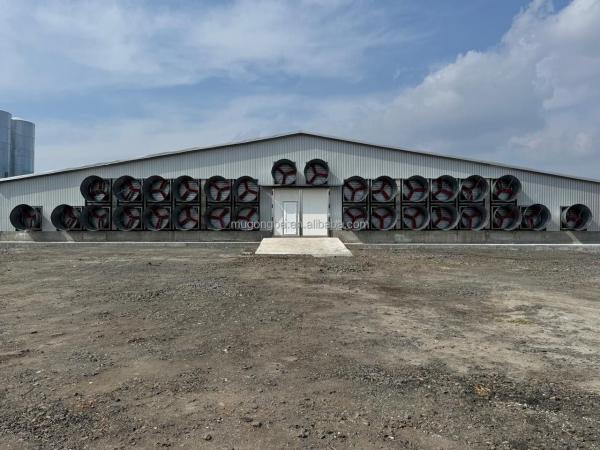 Quality Durable Poultry Farming Floor System for Broiler Chickens for sale