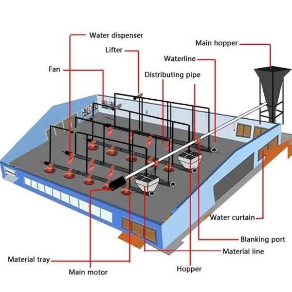 Quality Durable Poultry Farming Floor System for Broiler Chickens for sale