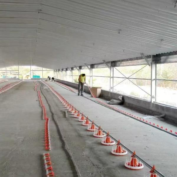Quality High Quality Poultry Feeding and Drinking System for Broilers for sale