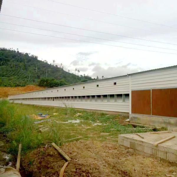 Quality High Quality Poultry Feeding and Drinking System for Broilers for sale