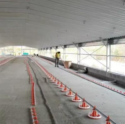 China Poultry Farming Floor System with Feeders and Drinkers for Broilers for sale