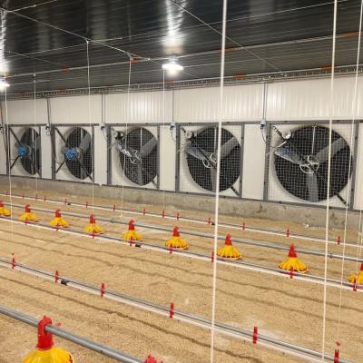 China Wholesale Poultry Floor System with Automatic Feeders and Drinkers for sale