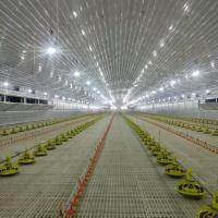 Quality Best Price Broiler Chicken Floor System for Large Poultry Farms for sale