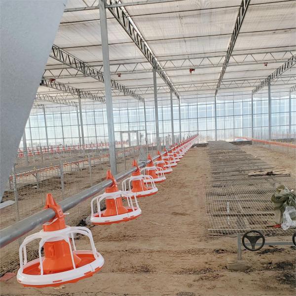 Quality Best Price Broiler Chicken Floor System for Large Poultry Farms for sale