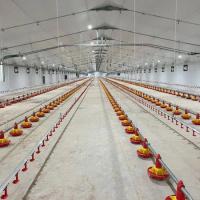 Quality Poultry Flooring System for Broiler Chicken High Yield Farming for sale