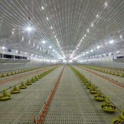 China Long Lasting Poultry Floor System with Automatic Feeders for Broilers for sale