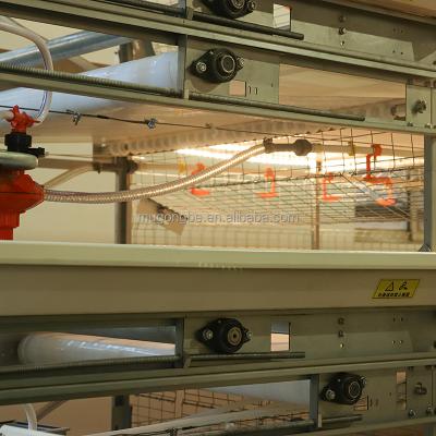 China Professional Manufacturer Automated Battery Broiler Chicken Cage System for Chicken Breeding for sale