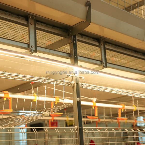 Quality Professional Manufacturer Automated Battery Broiler Chicken Cage System for for sale
