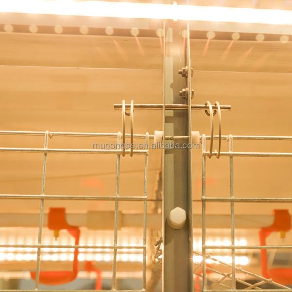 Quality Factory Complete Automatic Broiler and Layer 3 Tiers 4 Tiers 5 Tiers H Type for sale