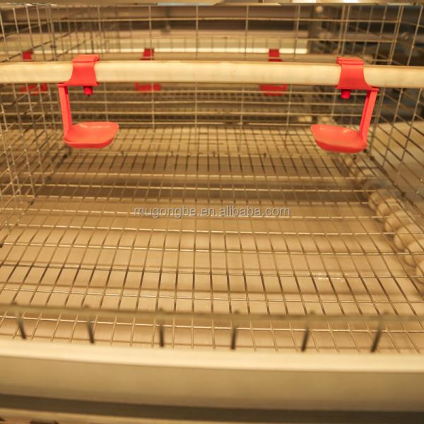 Quality Hot Sales Low Cost Hot Dip Galvanized Baby Chick Cages With Automatic Equipments for sale