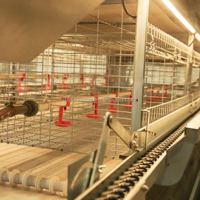 China China Manufacture Chicken Coop for Broilers and Cheap Meat Broiler Raising Chicken Battery Cages Prices for sale
