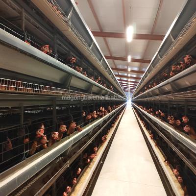 China New Design Advanced Poultry Farm H Type 3 Tier 4 Tiers Egg Layer Chicken Farm Layer Cages for Sale for sale