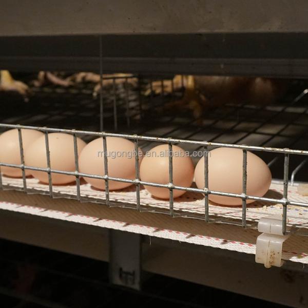 Quality Automation Egg Layer Farming Chicken Cage for Poultry Farm Chicken House for sale