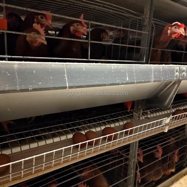 Quality Automation Egg Layer Farming Chicken Cage for Poultry Farm Chicken House for sale