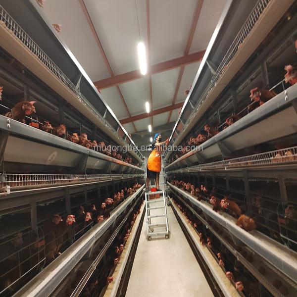 Quality Automation Egg Layer Farming Chicken Cage for Poultry Farm Chicken House for sale