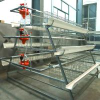 Quality A Type Battery Layer Chicken cage for sale