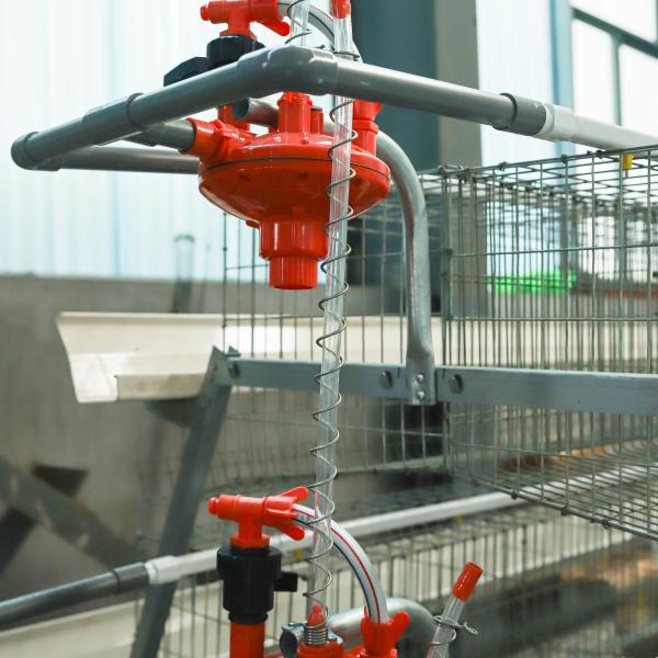 Quality Automatic A-Type Battery Cage Equipment for Laying Chickens & Eggs Henhouse for for sale