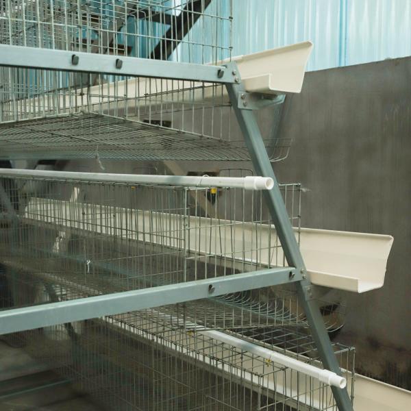 Quality A Type Battery Layer Automatic Egg Poultry Farming Equipment System Chicken for sale